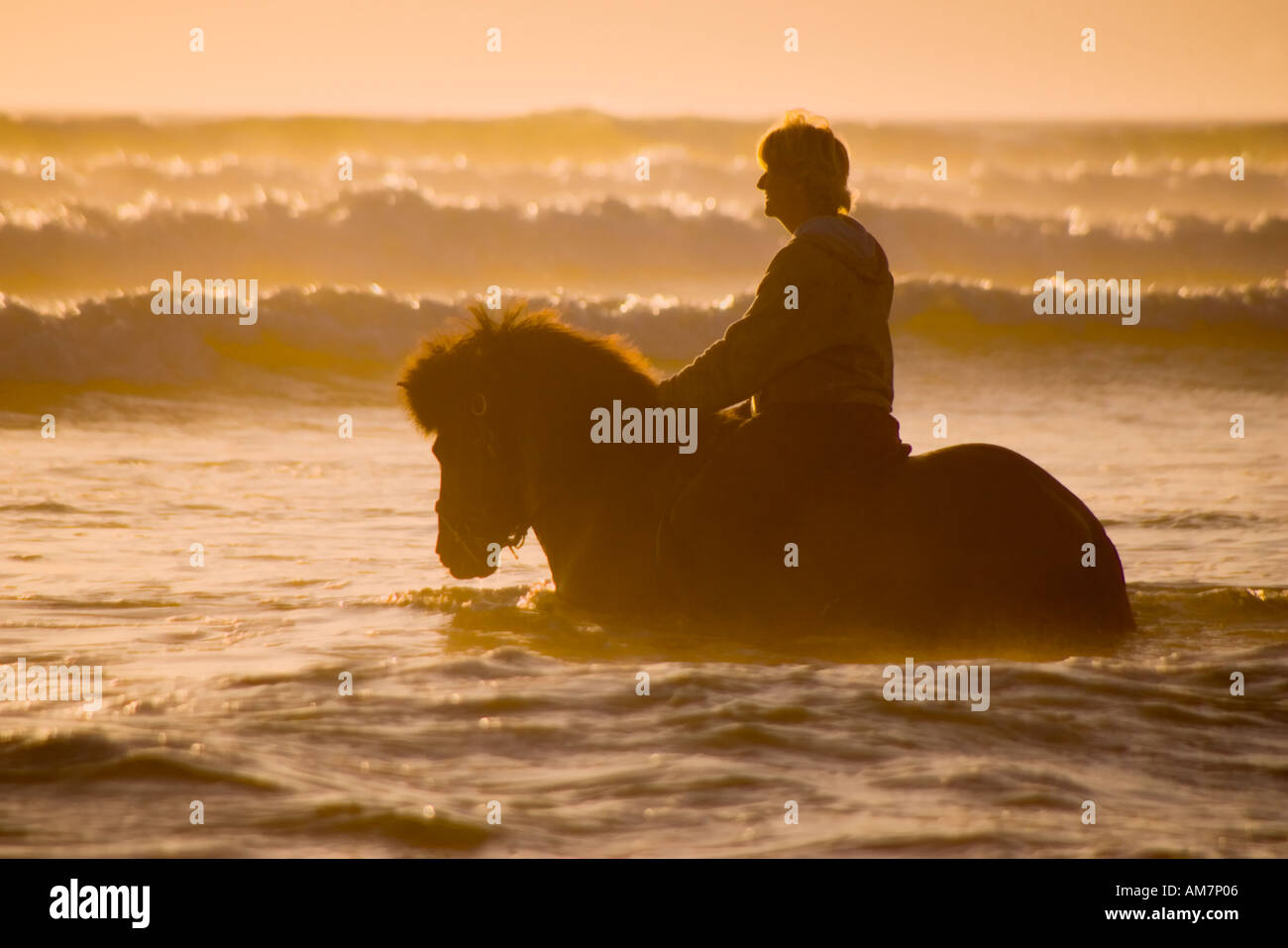 California ridden hi-res stock photography and images - Alamy