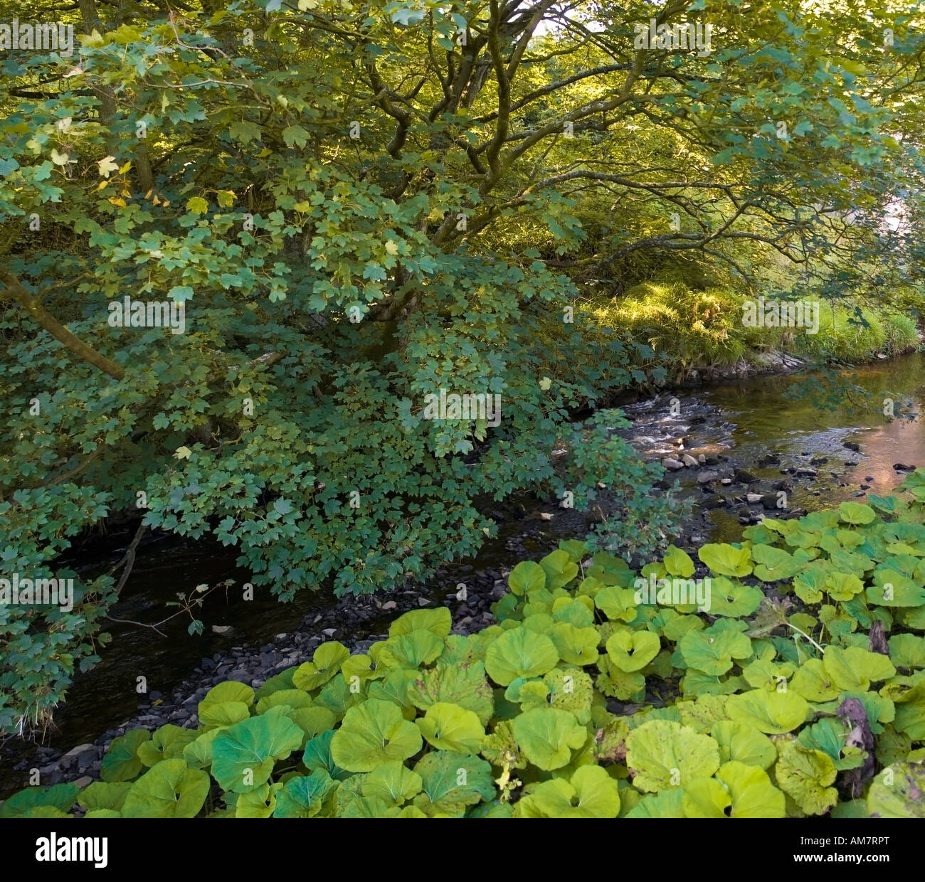 valley of the river manifold peak district national park staffordshire ...