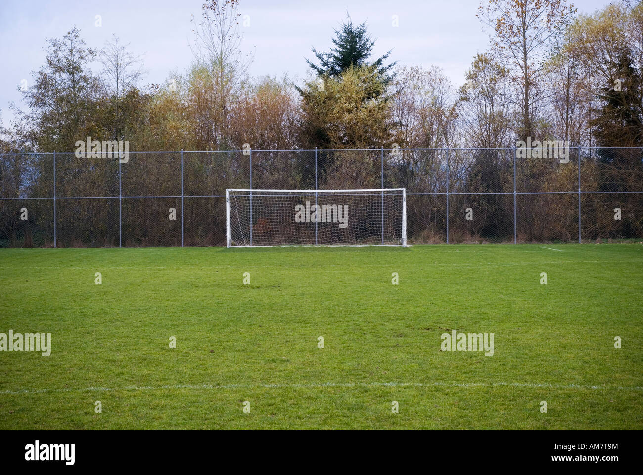 Empty soccer field and goal in Autumn Stock Photo - Alamy