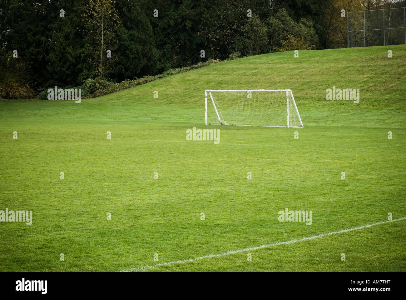 Empty goal hi-res stock photography and images - Alamy