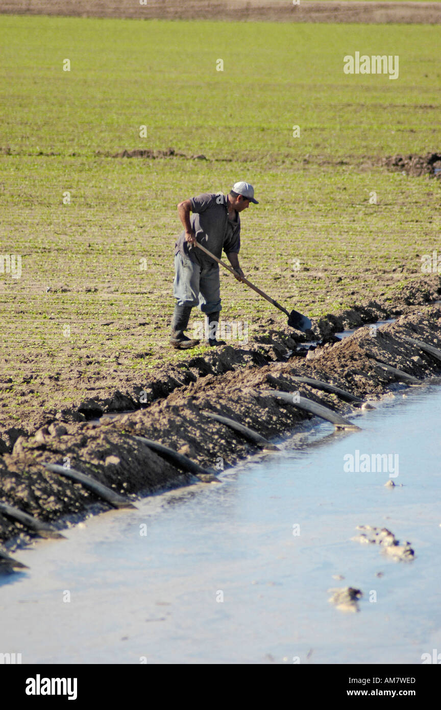 Desert irrigation in southwest Arizona for farming with Colorado River ...