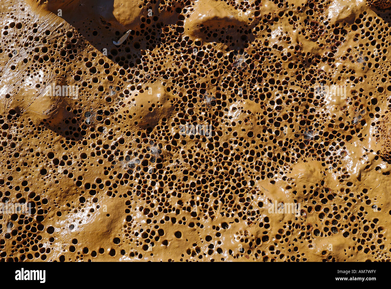 Silty soil hi-res stock photography and images - Alamy