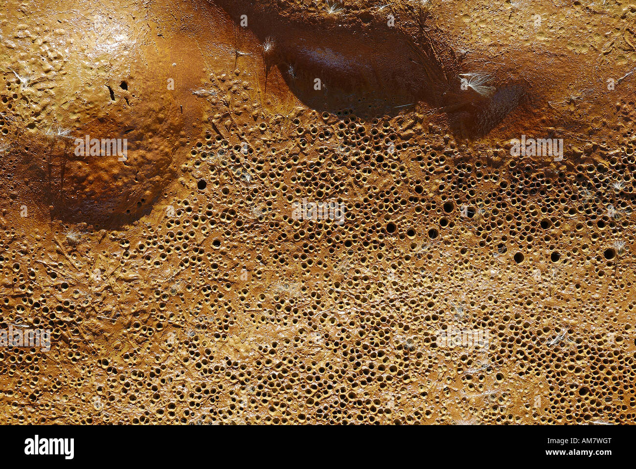Silty soil hi-res stock photography and images - Alamy