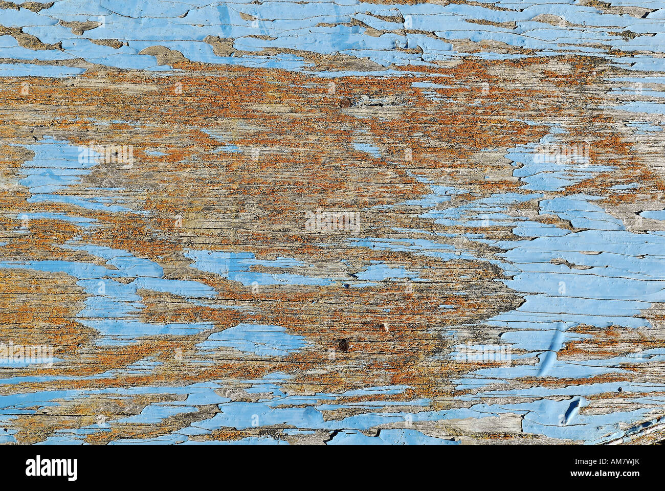 Weathered surface hi-res stock photography and images - Alamy
