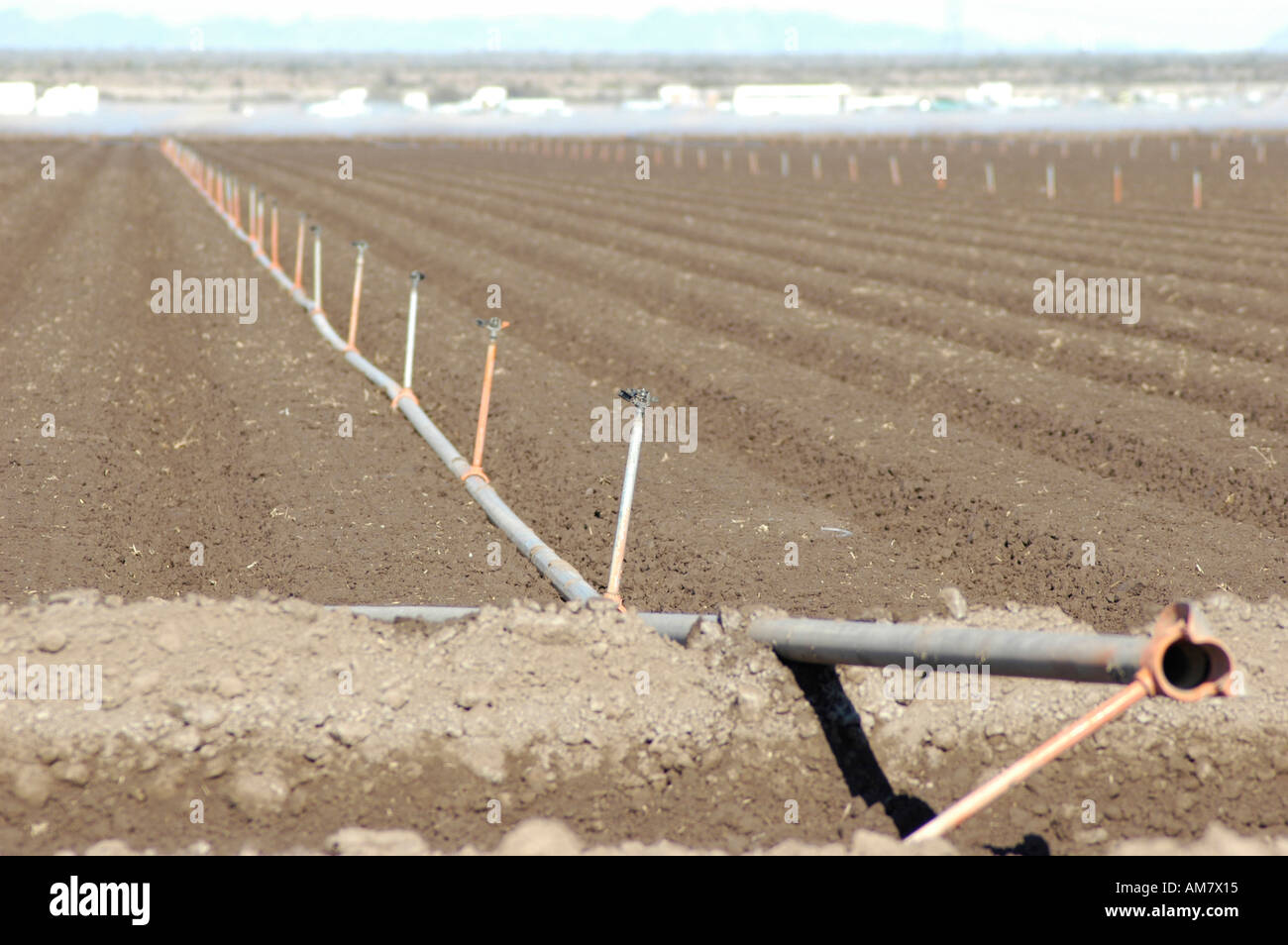 Desert irrigation in southwest Arizona for farming with Colorado River ...