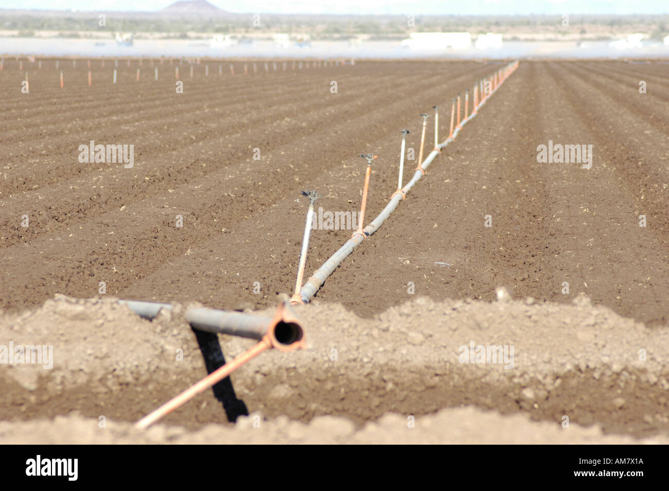 Arizona colorado river farm hi-res stock photography and images - Alamy
