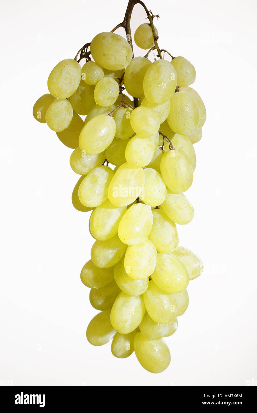 Weinbeeren hi-res stock photography and images - Alamy