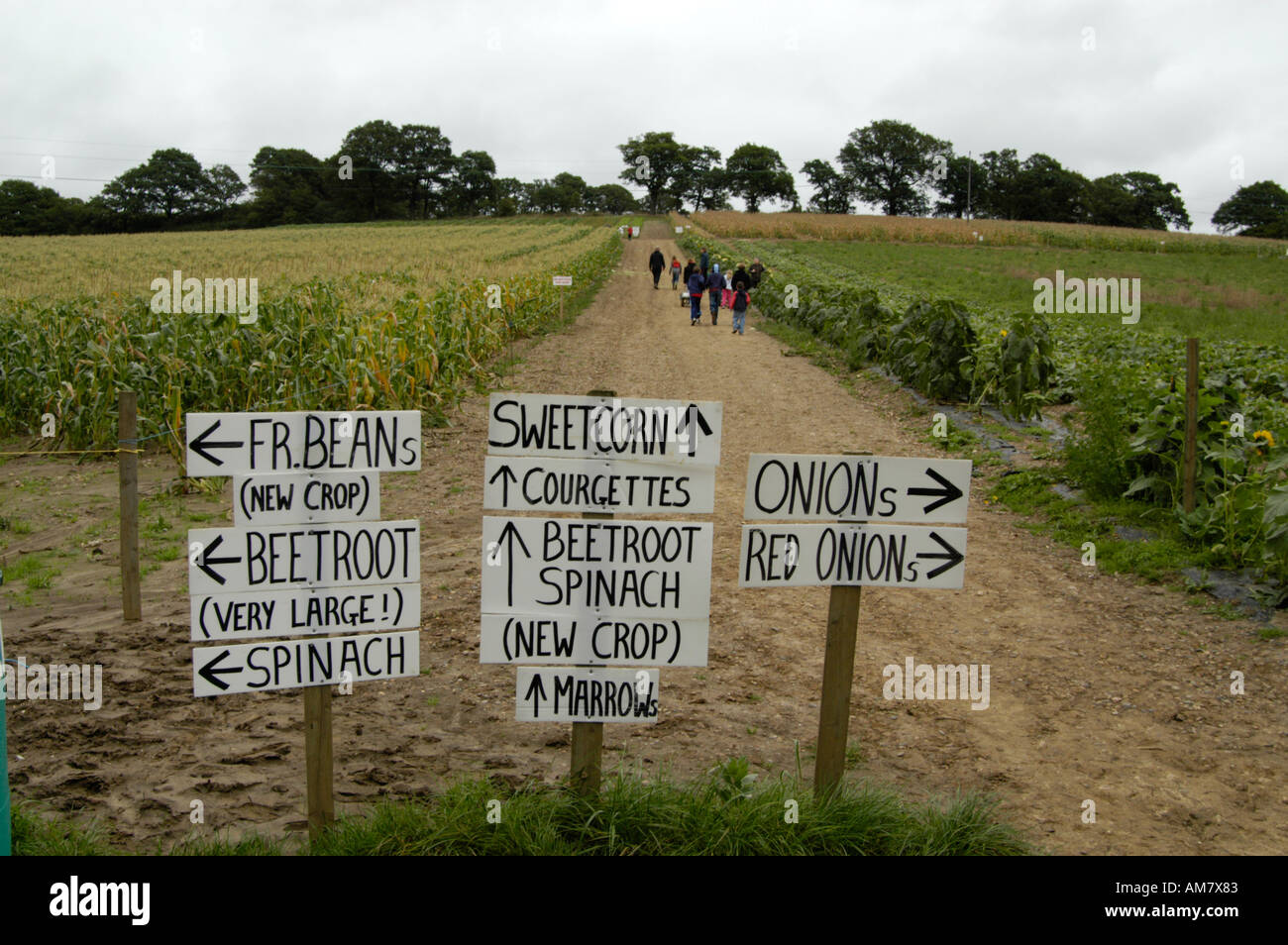 Parkside farm pick your own hi-res stock photography and images - Alamy