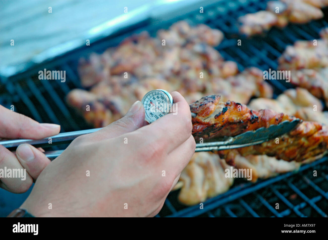 Checking temperature on inside of cooking BBQ barbecued chicken for ...