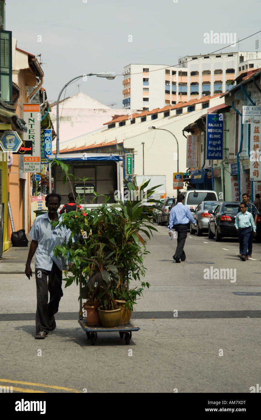 Indian man pushing trolley full of plants Stock Photo - Alamy