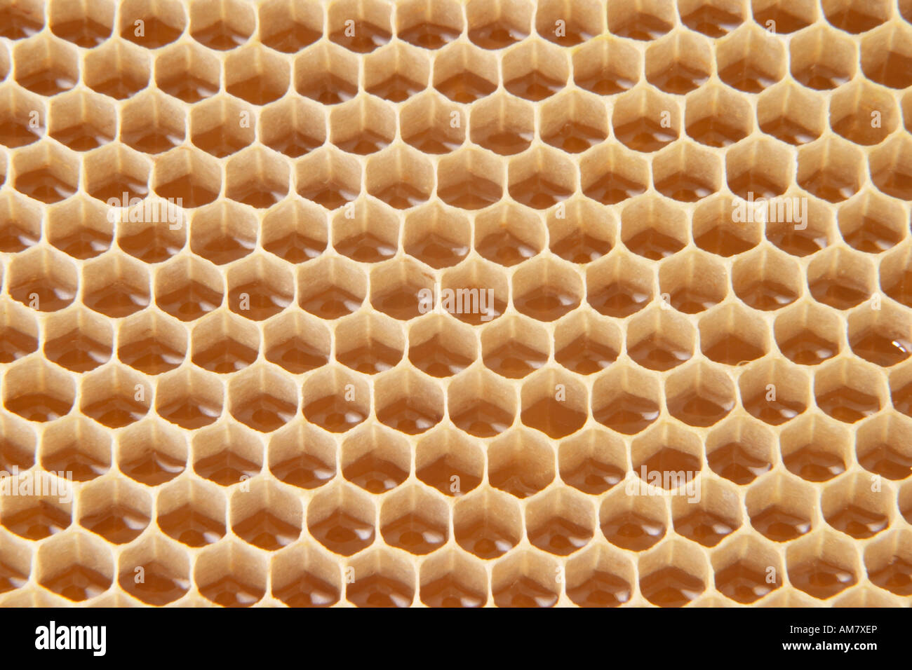 Struktur organisch hi-res stock photography and images - Alamy