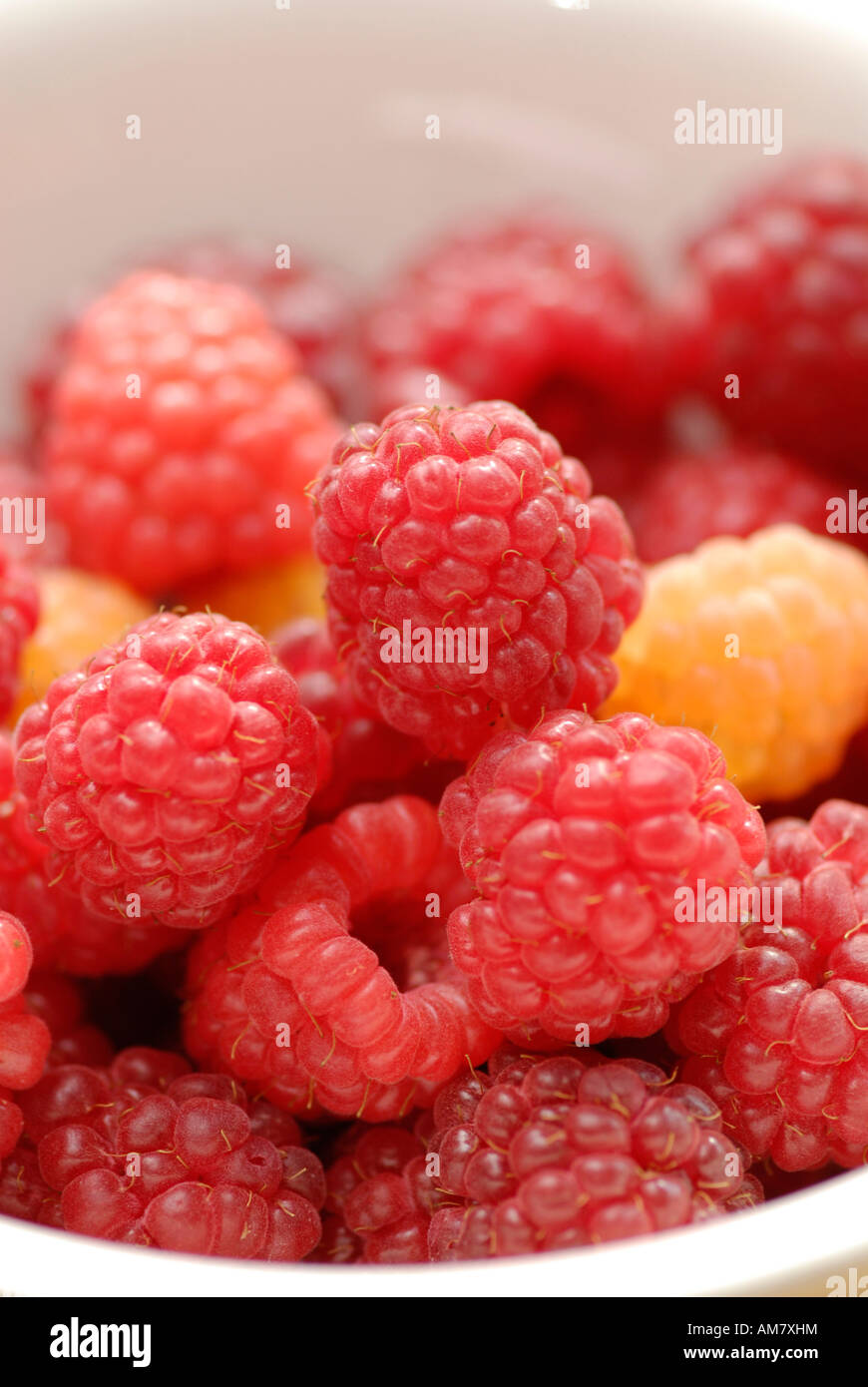 Raspberries Rubus idaeus Stock Photo - Alamy