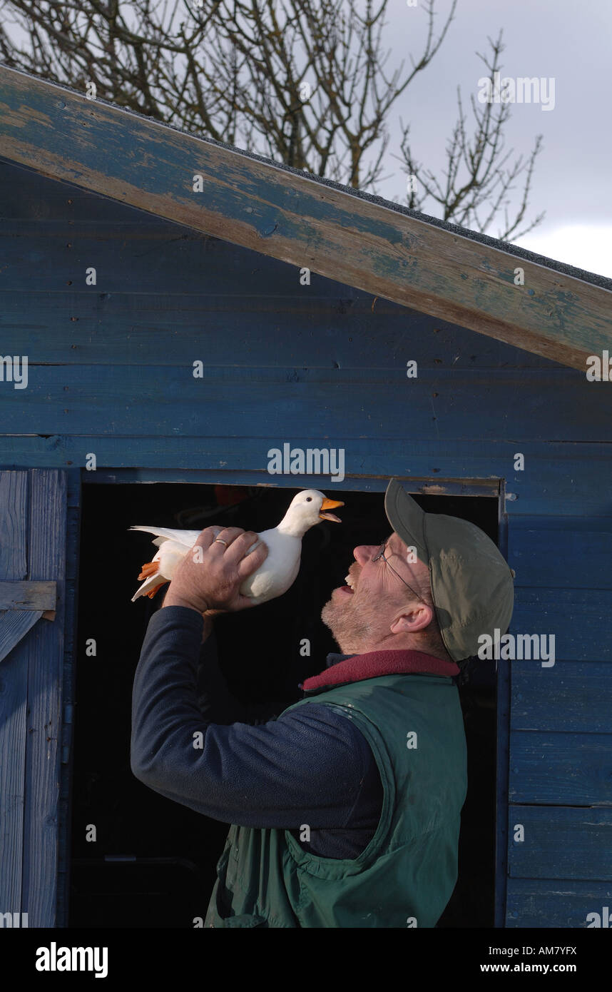 Man holding duck standing in hi-res stock photography and images - Alamy