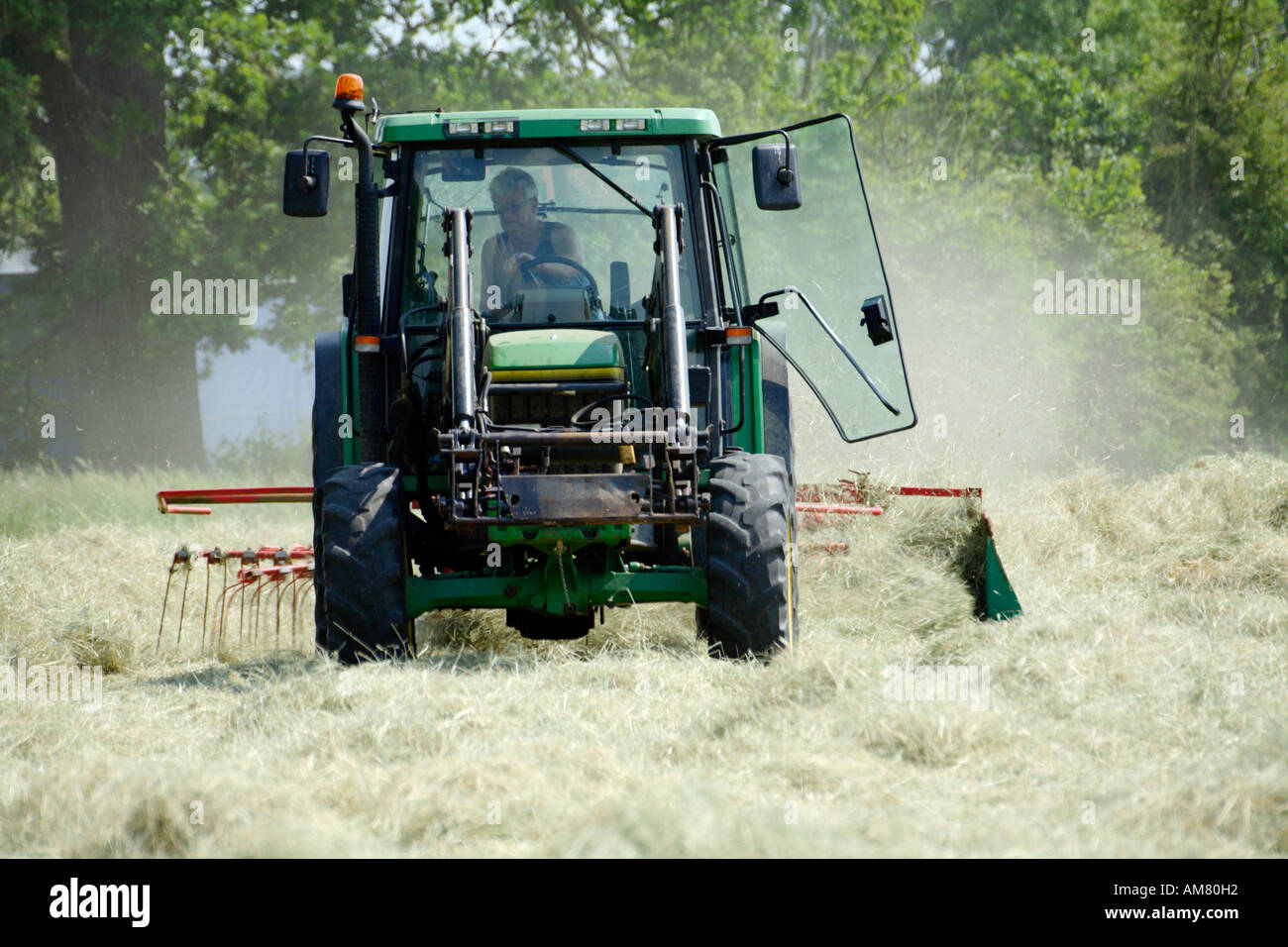 Farmer with tractor and rake rowing hay in summer meadow 5 Stock Photo ...