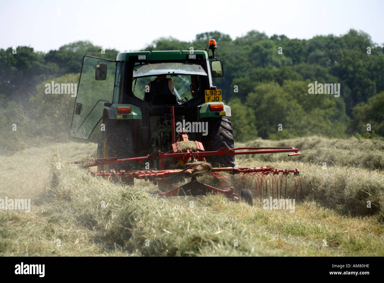Farmer with tractor and rake rowing hay in summer meadow 8 Stock Photo ...