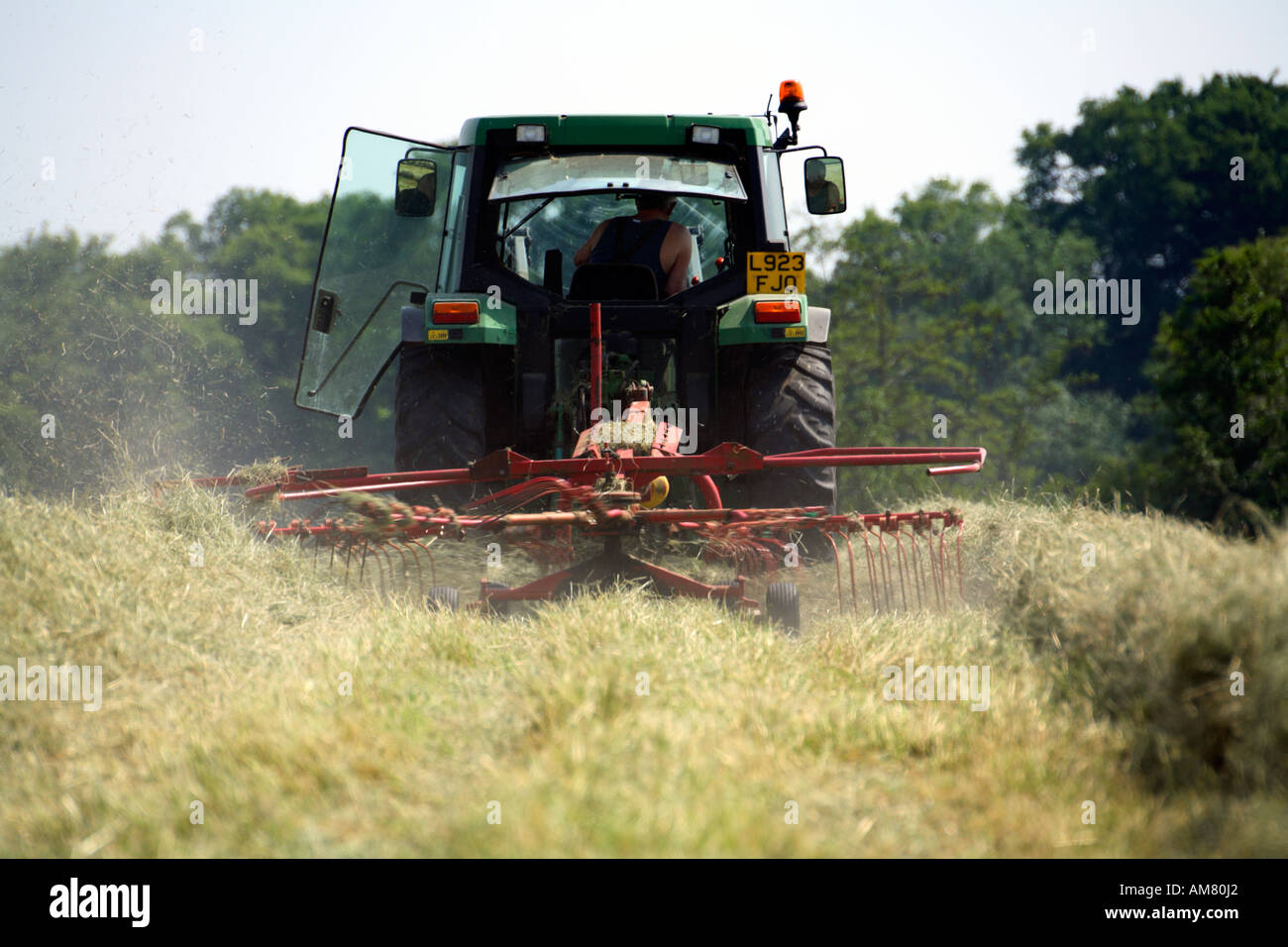 Farmer with tractor and rake rowing hay in summer meadow 9 Stock Photo ...