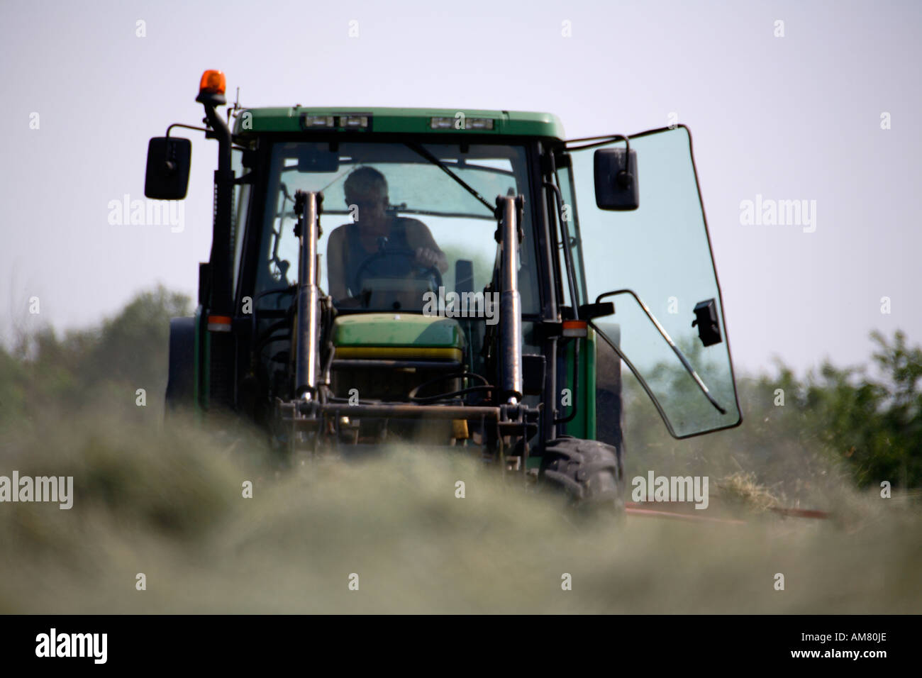 Farmer with tractor and rake rowing hay in summer meadow 12 Stock Photo ...
