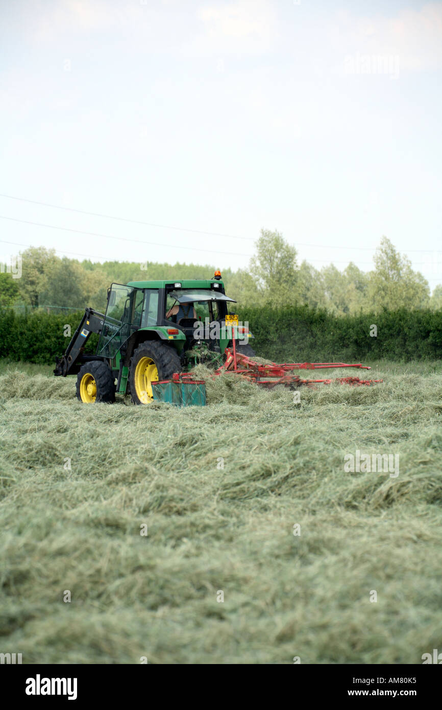 Farmer with tractor and rake rowing hay in summer meadow 15 Stock Photo ...