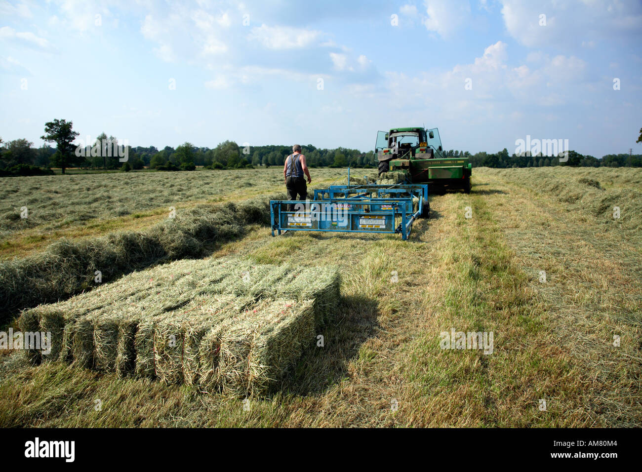 Farmer baling summer hay 1 Stock Photo - Alamy