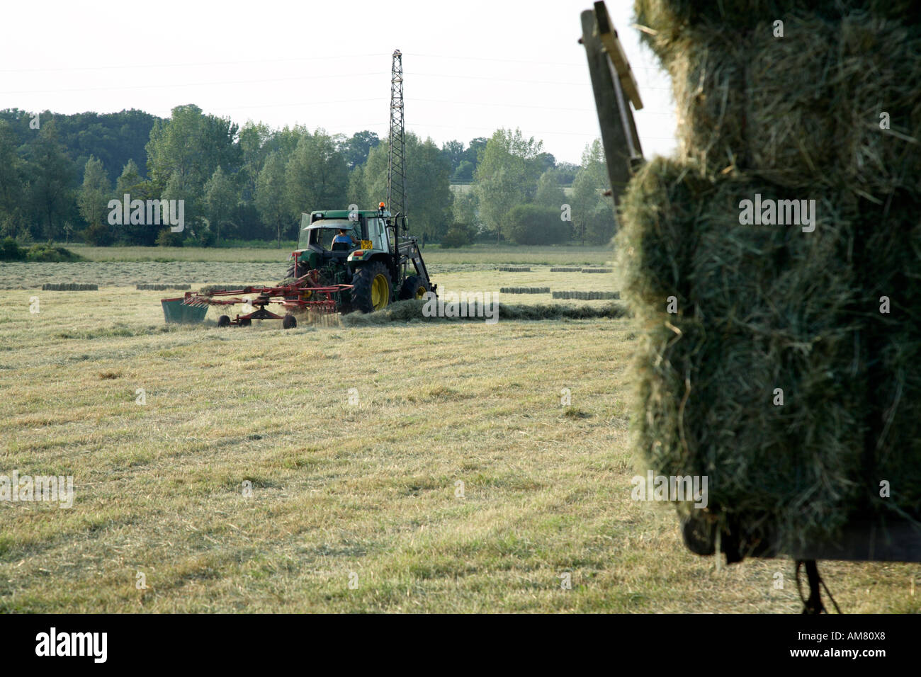 Summer haymaking on rural English farm Stock Photo - Alamy