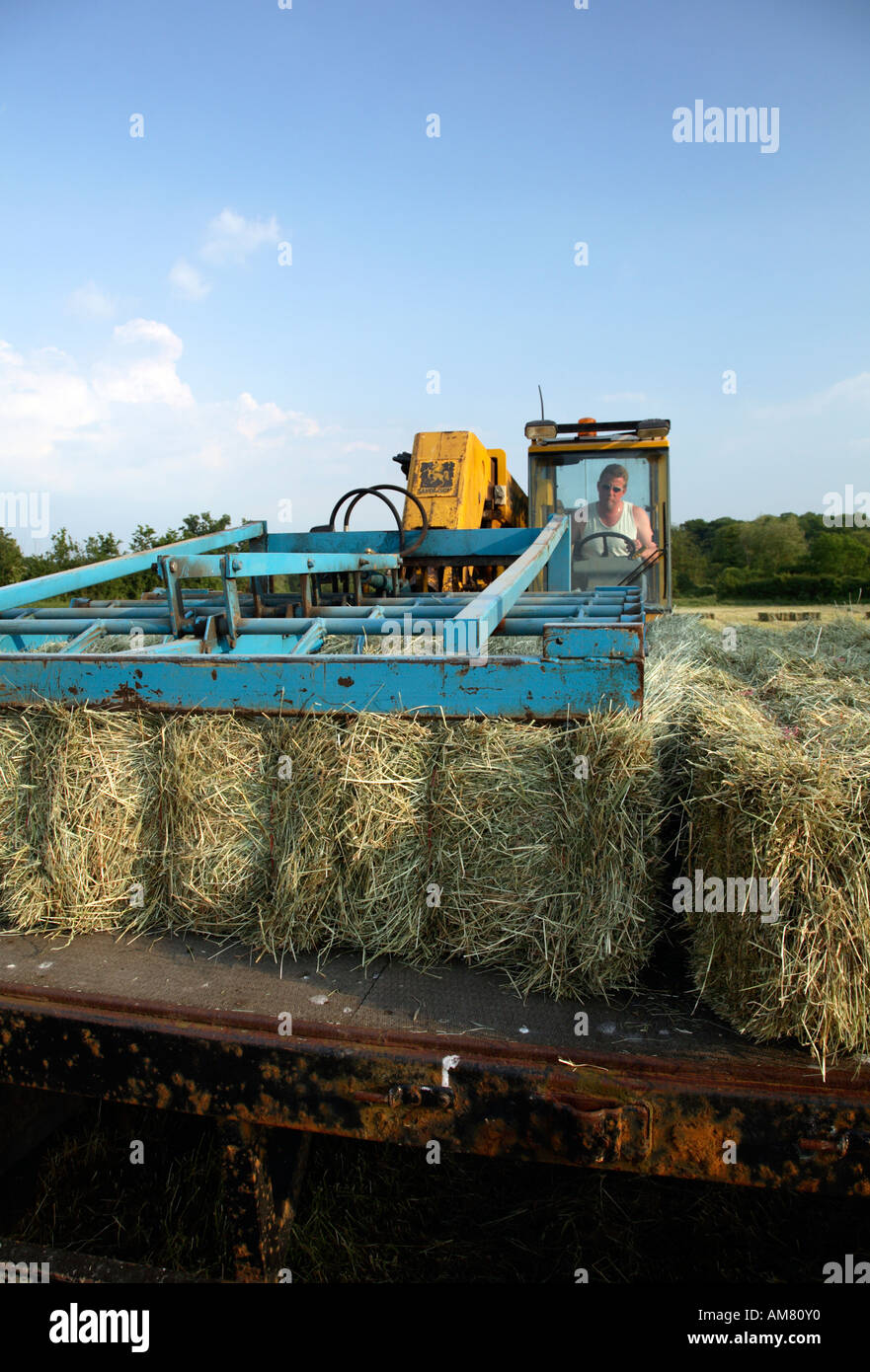 Loading haylage hi-res stock photography and images - Alamy