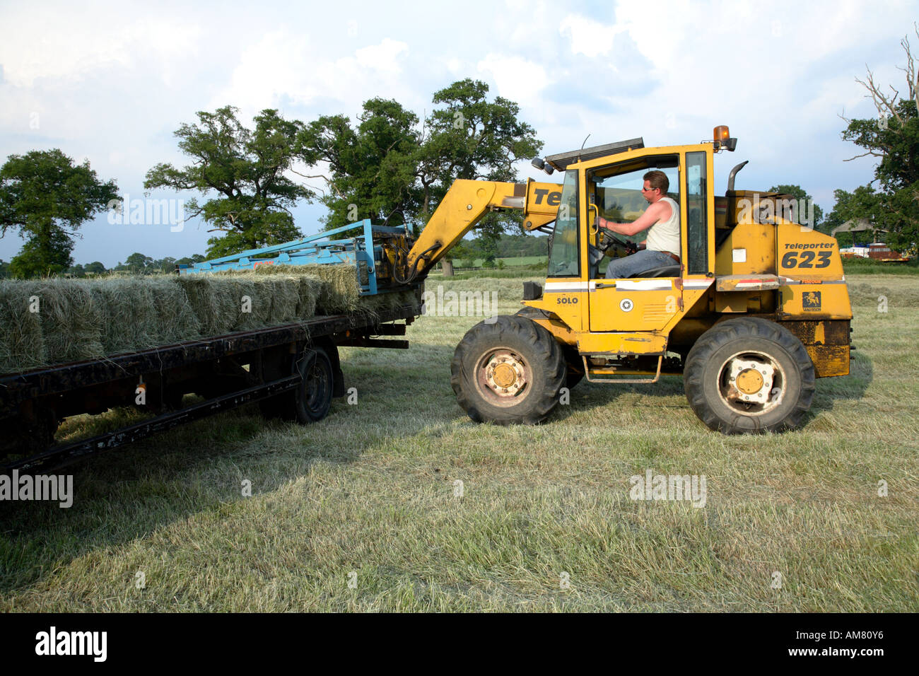 Loading hay bales on to flat bed trailer with teleporter 3 Stock Photo ...
