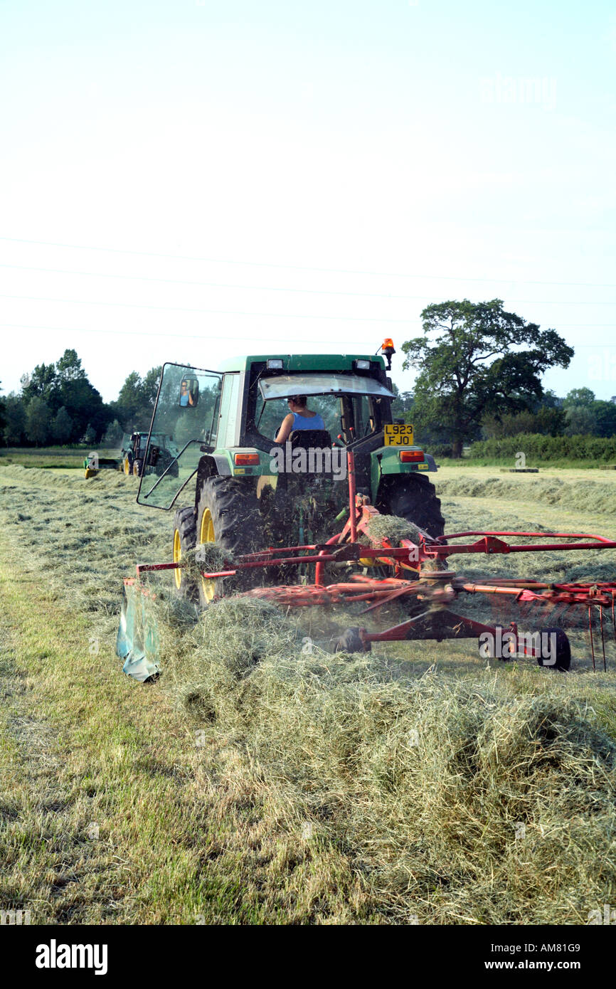 Female farm working rowing hay ready for baling with tractor and baler ...