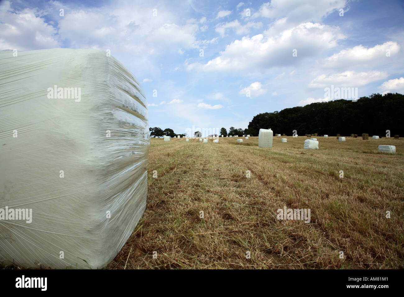 Large hay bales in summer meadow against deep blue sky 1 Stock Photo ...