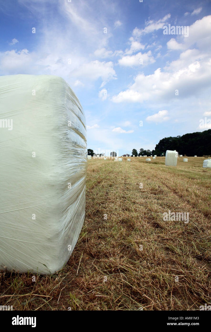 Wrapping big hay bales with tractor and trailer in summer meadow 12 ...