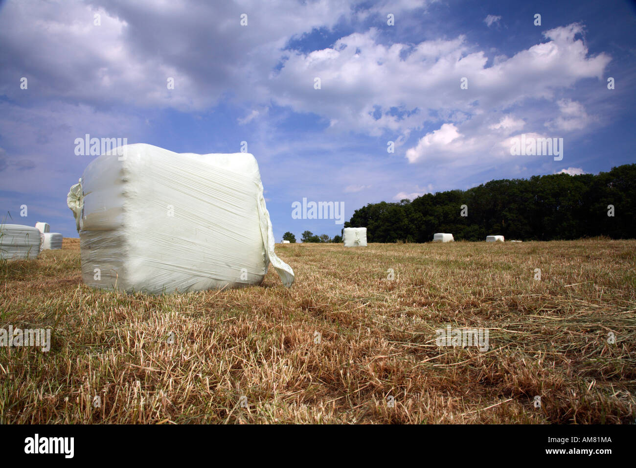 Large hay bales in summer meadow against deep blue sky 2 Stock Photo ...