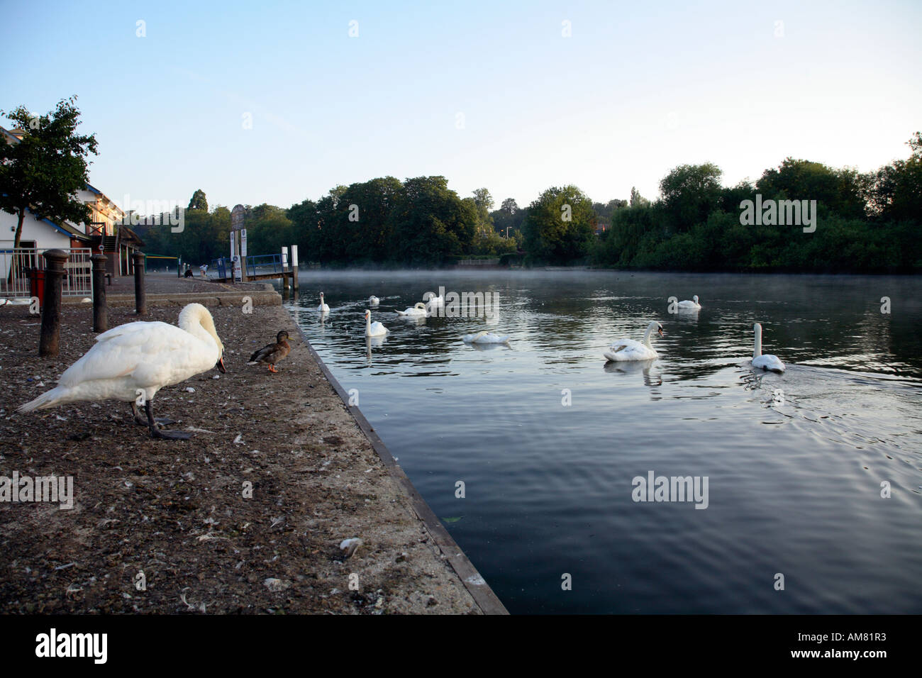 The warren caversham hi-res stock photography and images - Alamy