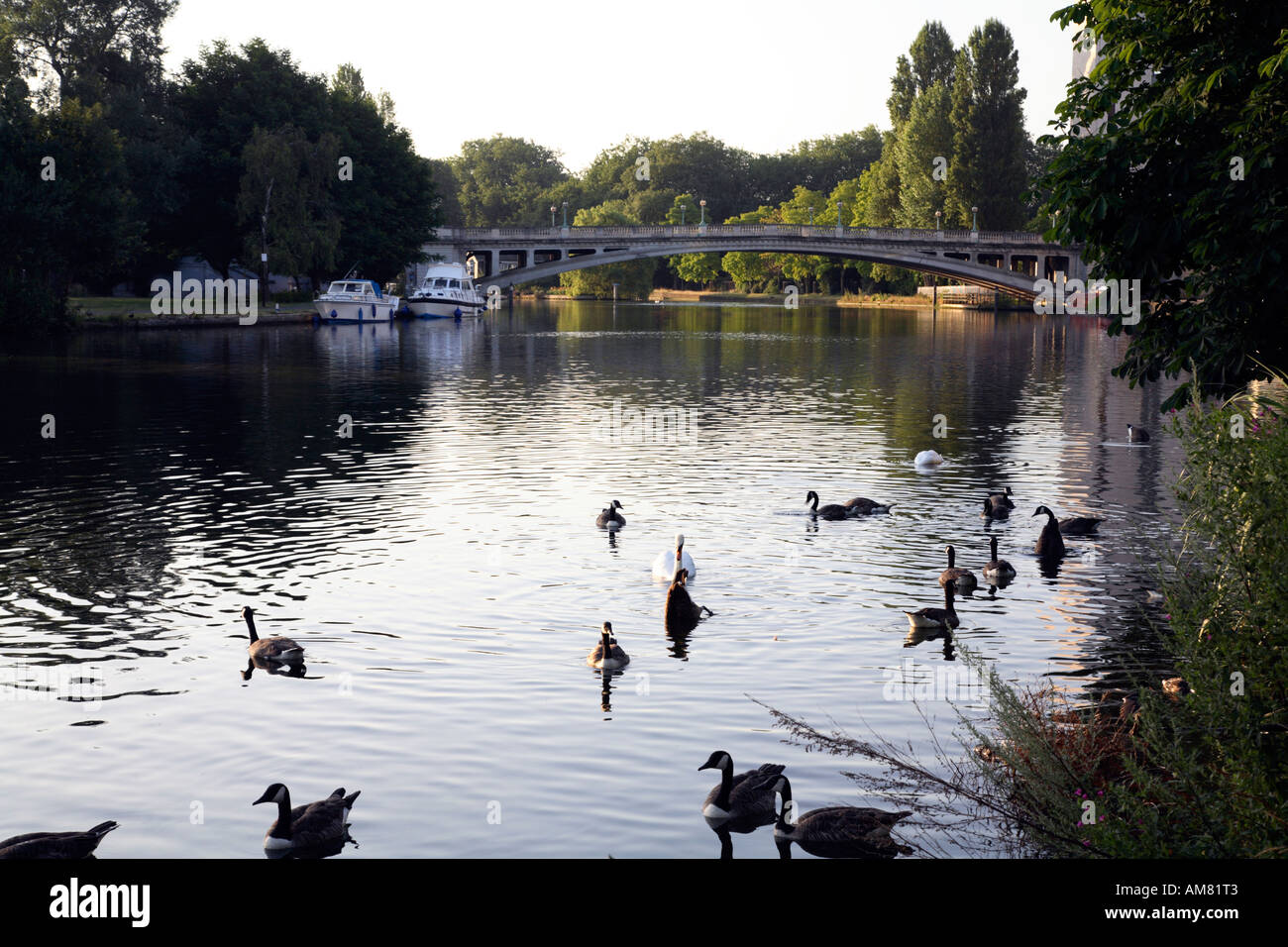 River Thames in central Reading from the south bank looking east toward ...