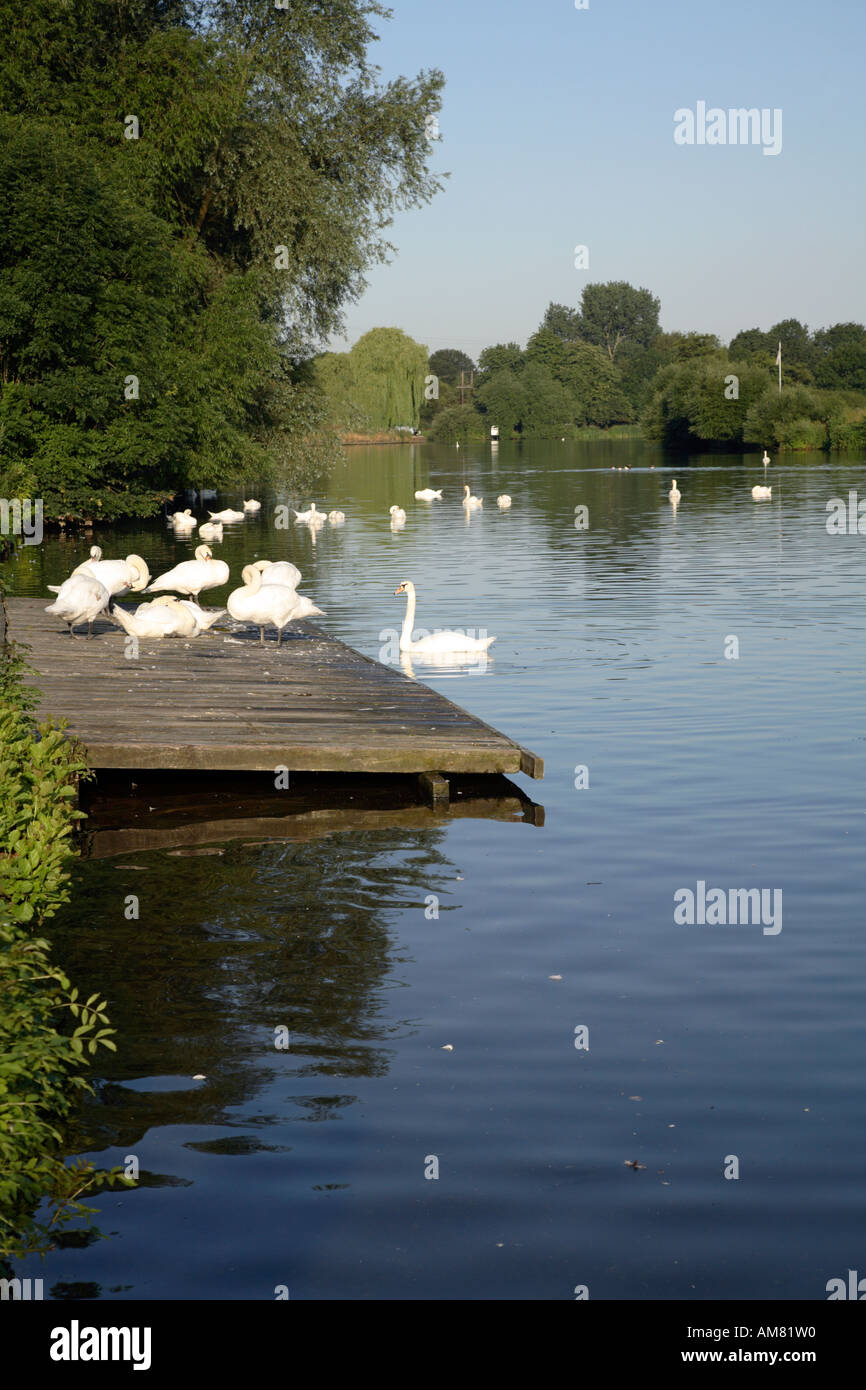 Kings meadow reading hi-res stock photography and images - Alamy