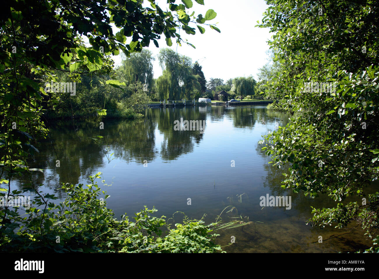 View of River Thames and small islands from thames path between Sonning ...