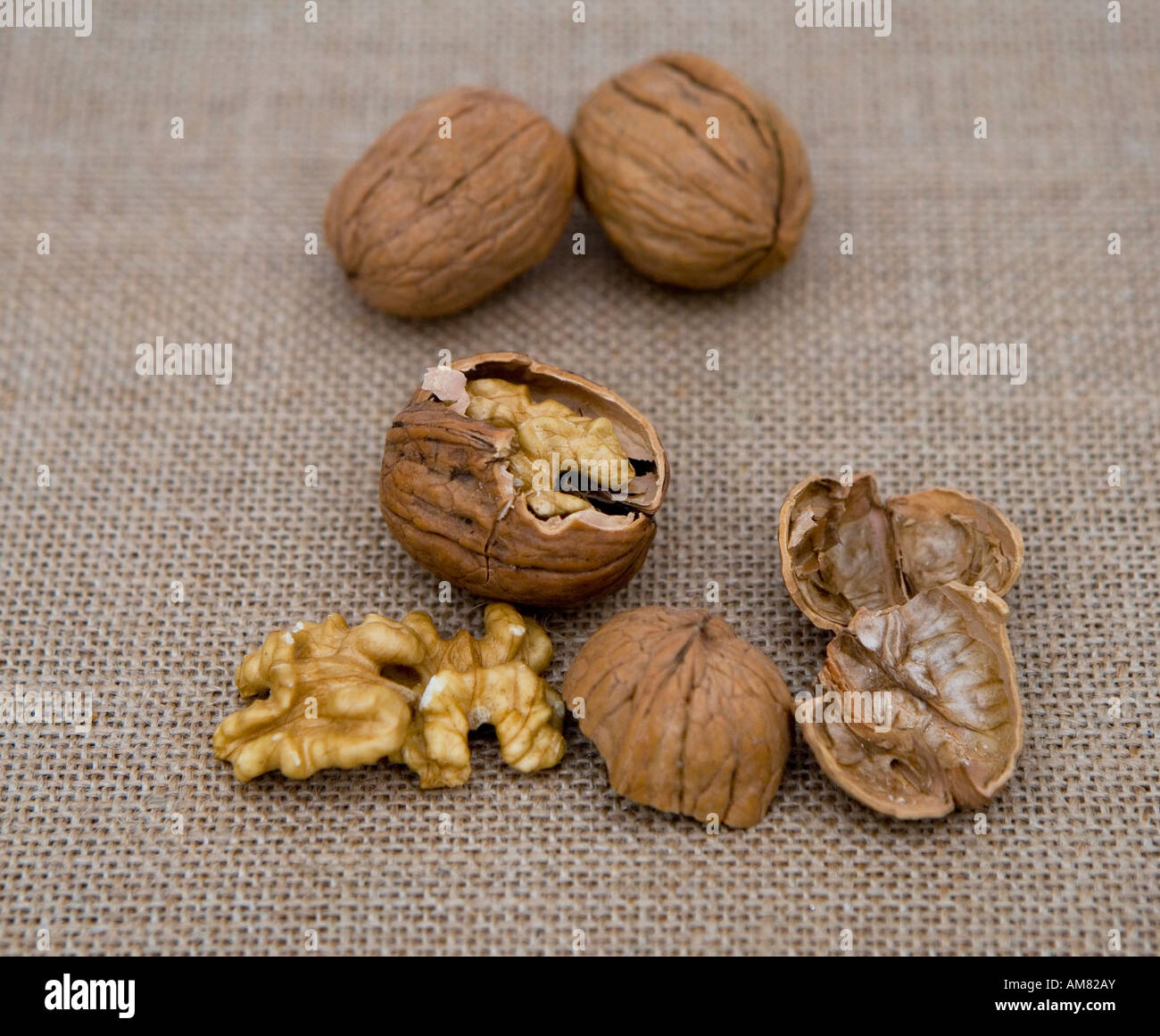 Only nuts hi-res stock photography and images - Alamy