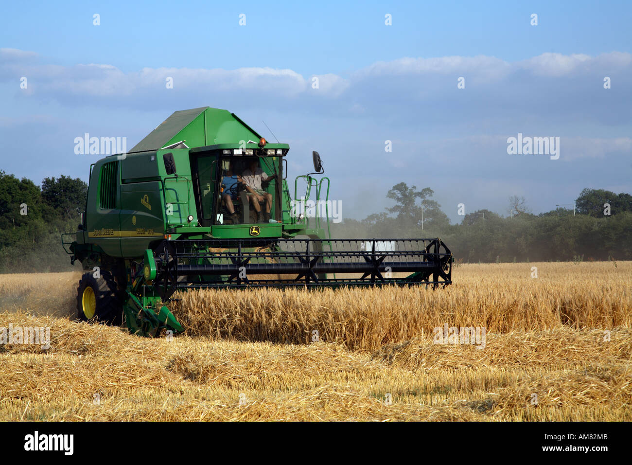 Combine harvester harvesting barley 1 Stock Photo - Alamy