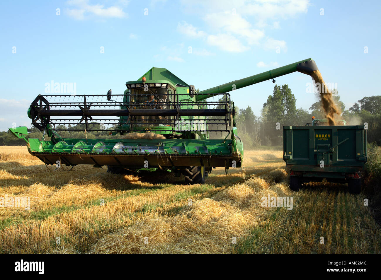 Combine harvester emptying harvested barley into grain trailer 1 Stock ...