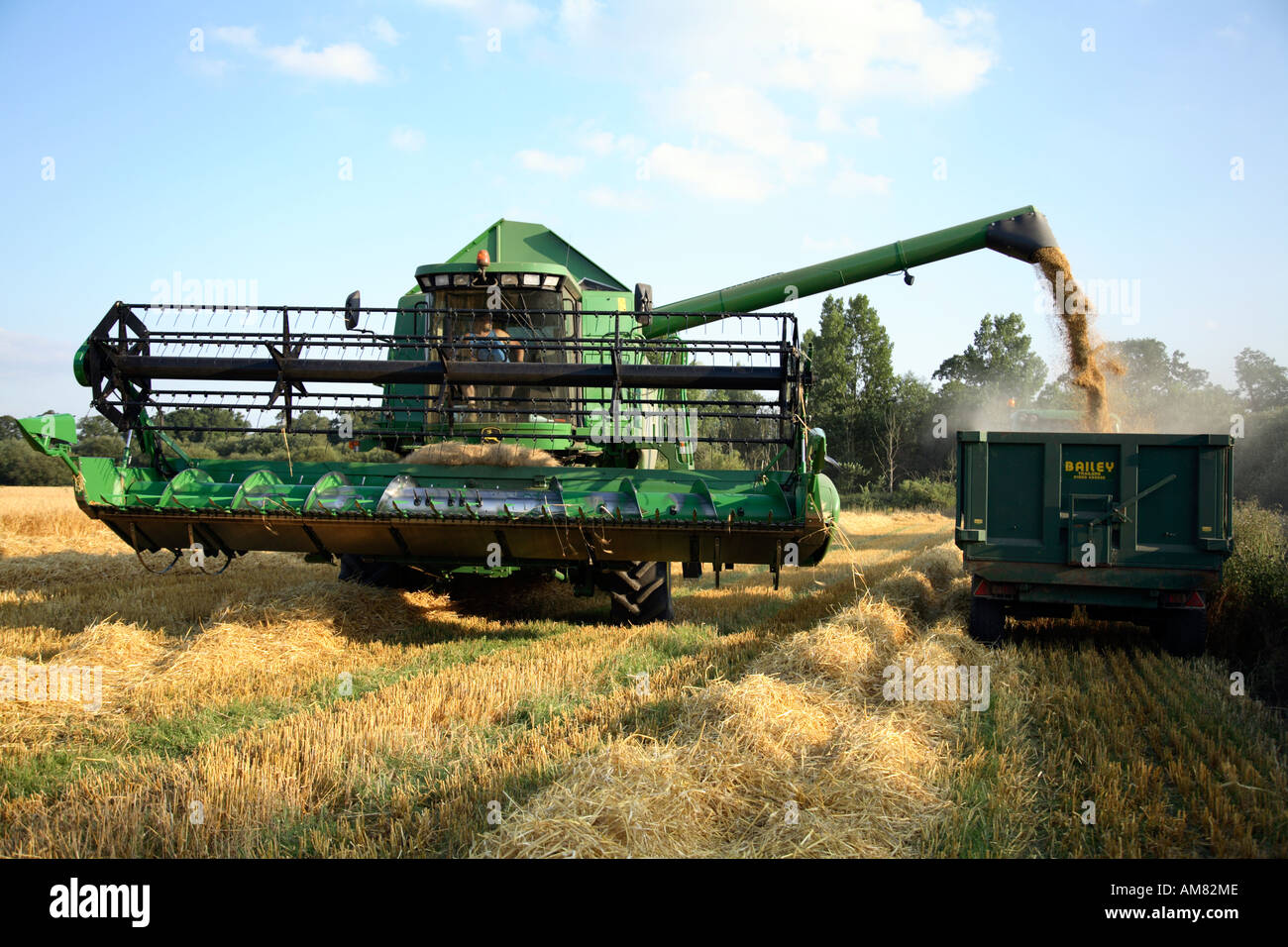 Combine harvester emptying harvested barley into grain trailer 2 Stock ...