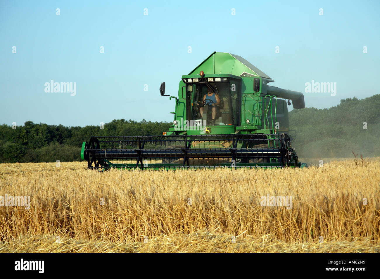 Combine harvester harvesting barley 5 Stock Photo - Alamy