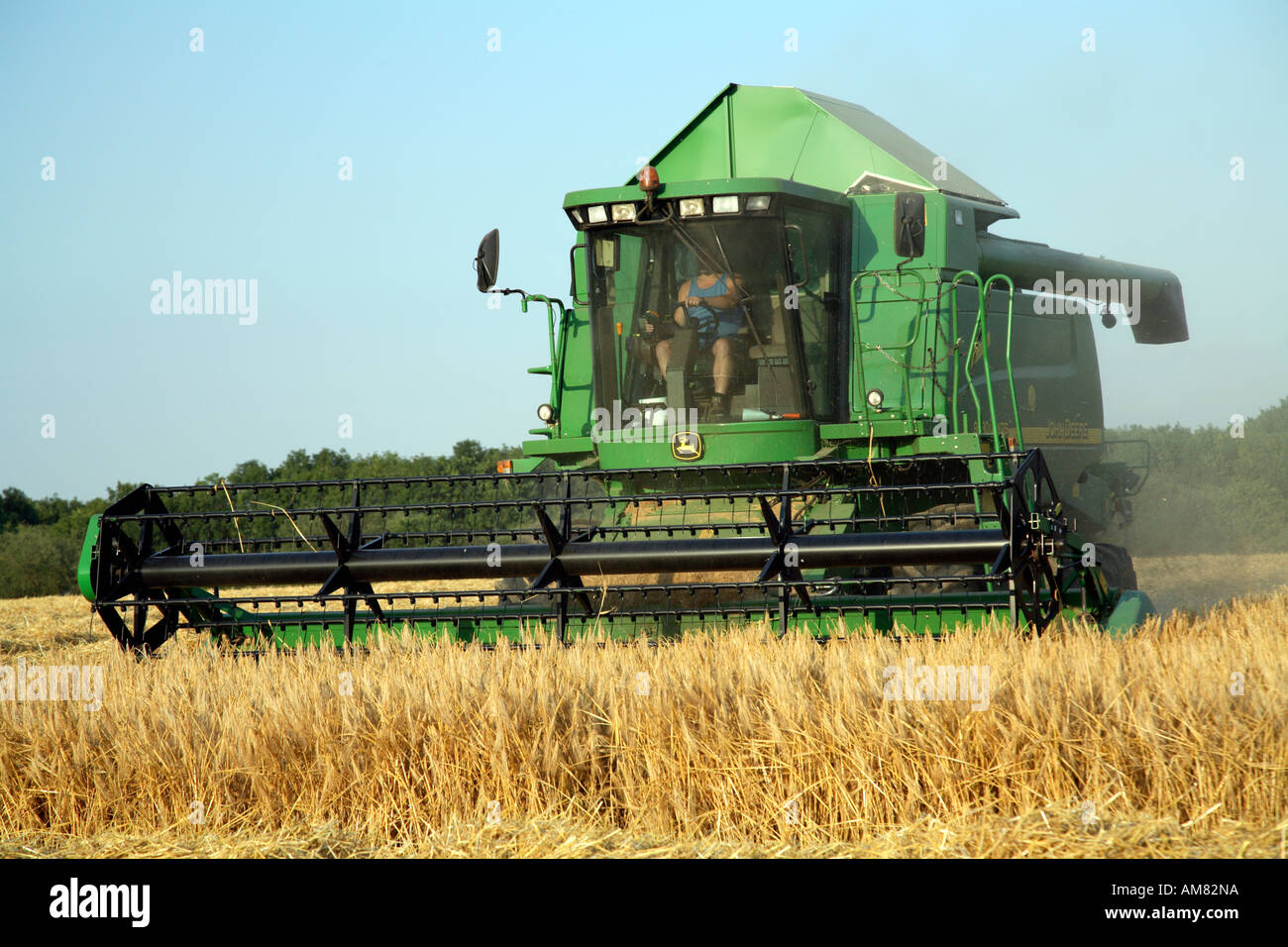 Combine harvester harvesting barley 6 Stock Photo - Alamy