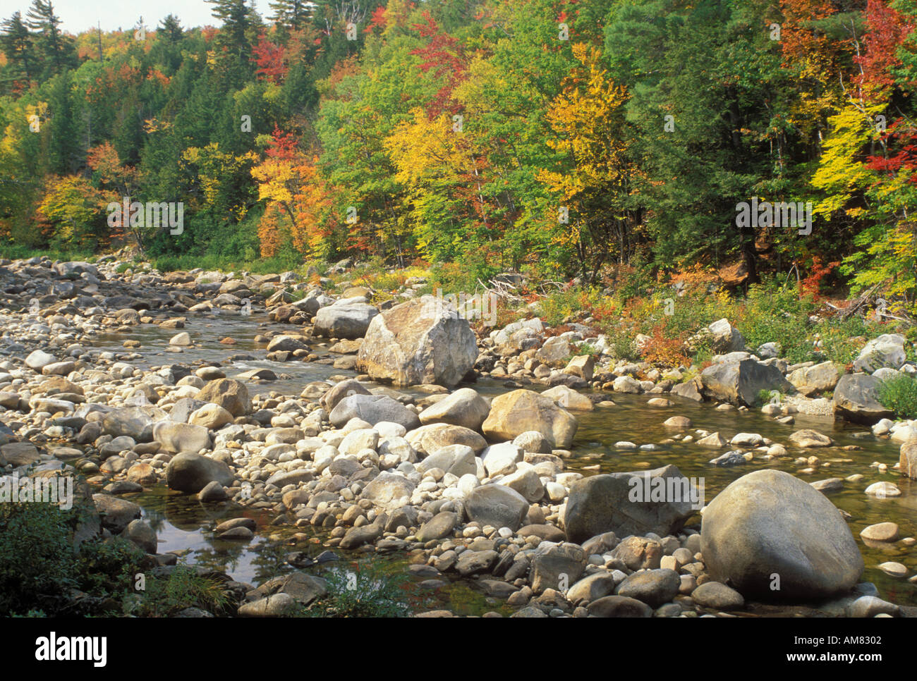 White mountain national forest hi-res stock photography and images - Alamy