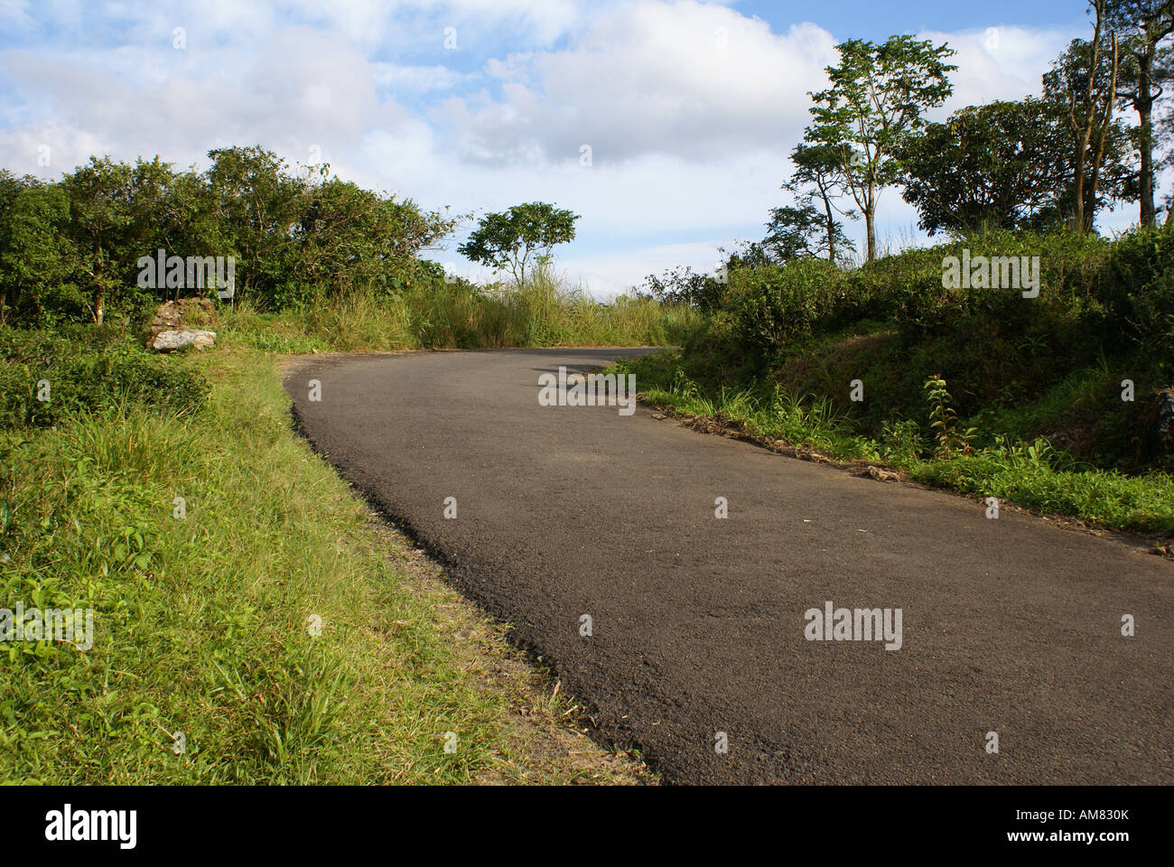 The place is Ponmudi in Kerala, India Stock Photo - Alamy