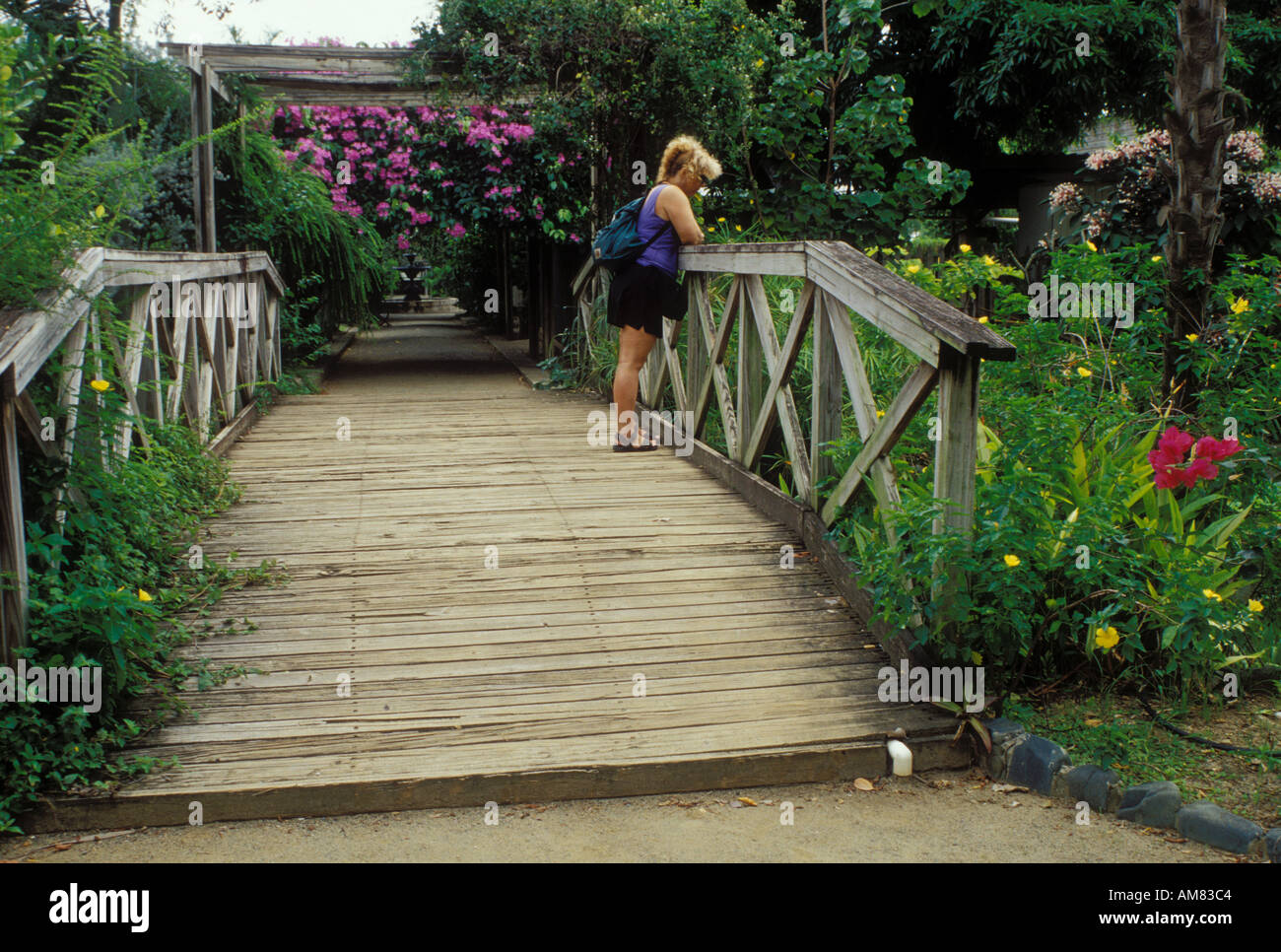AJ19985, Tortola, British Virgin Islands, Road Town, Caribbean, BVI ...