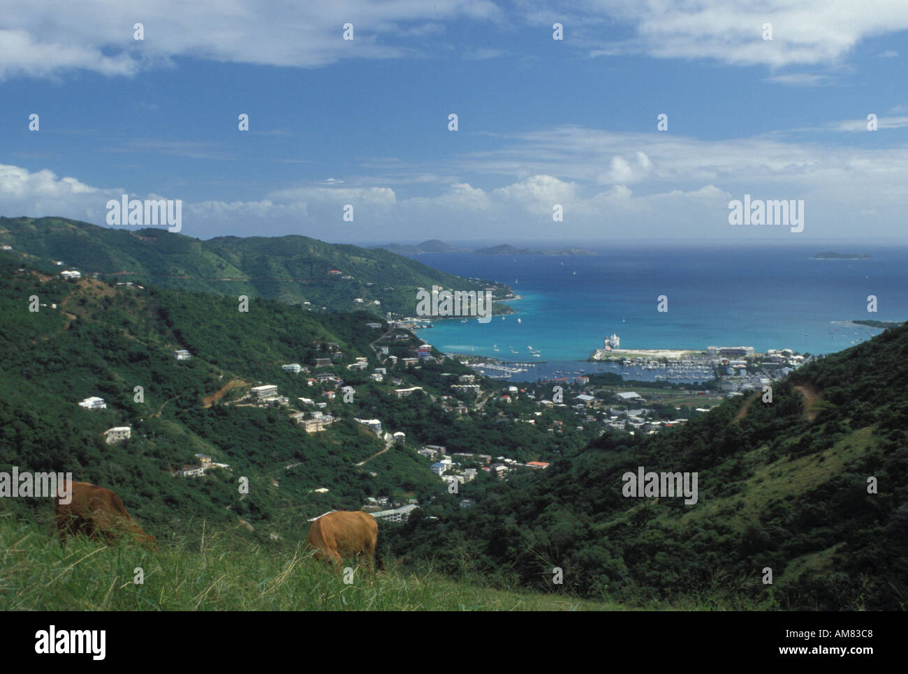 British virgin islands road town hi-res stock photography and images ...