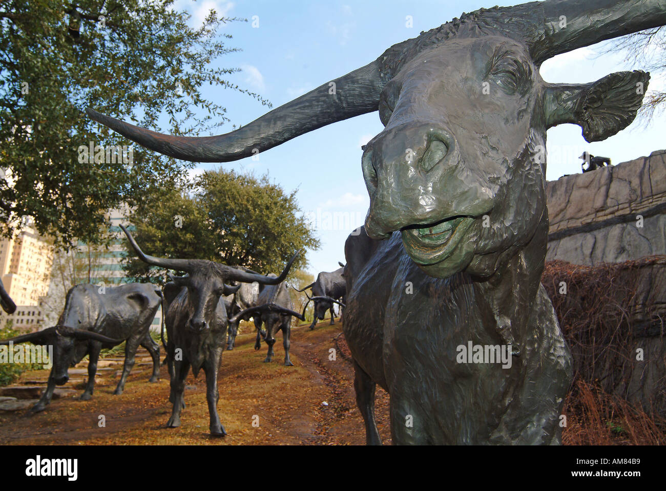 Cow statues in downtown of Dallas, Texas Stock Photo - Alamy