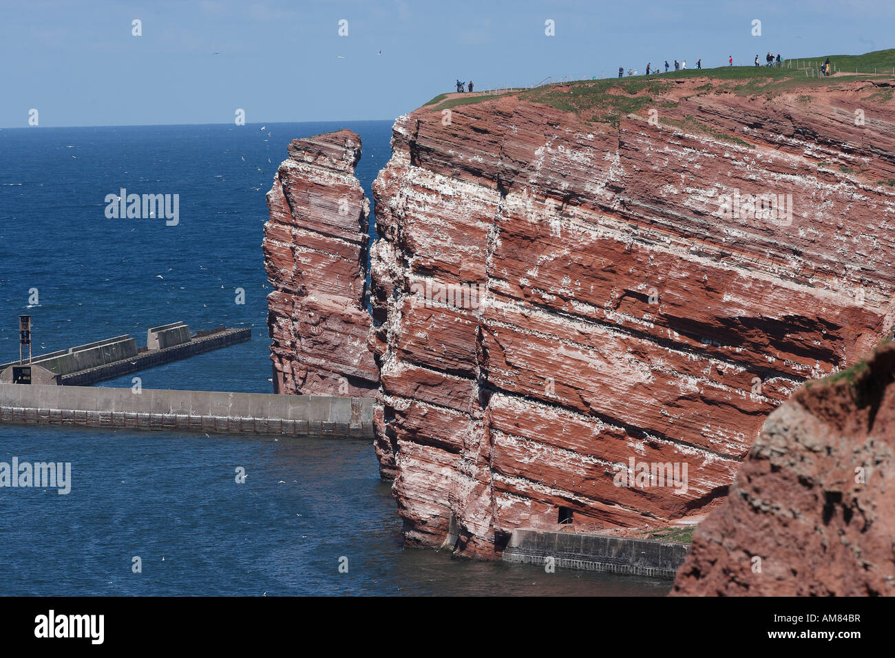 Lummen Rock on Helgoland, Germany Stock Photo - Alamy