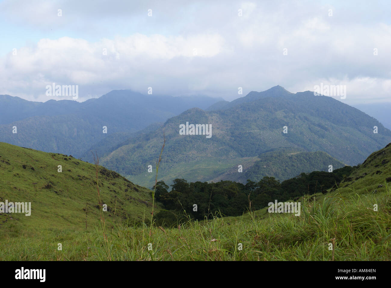 Ponmudi hill scenery view hi-res stock photography and images - Alamy