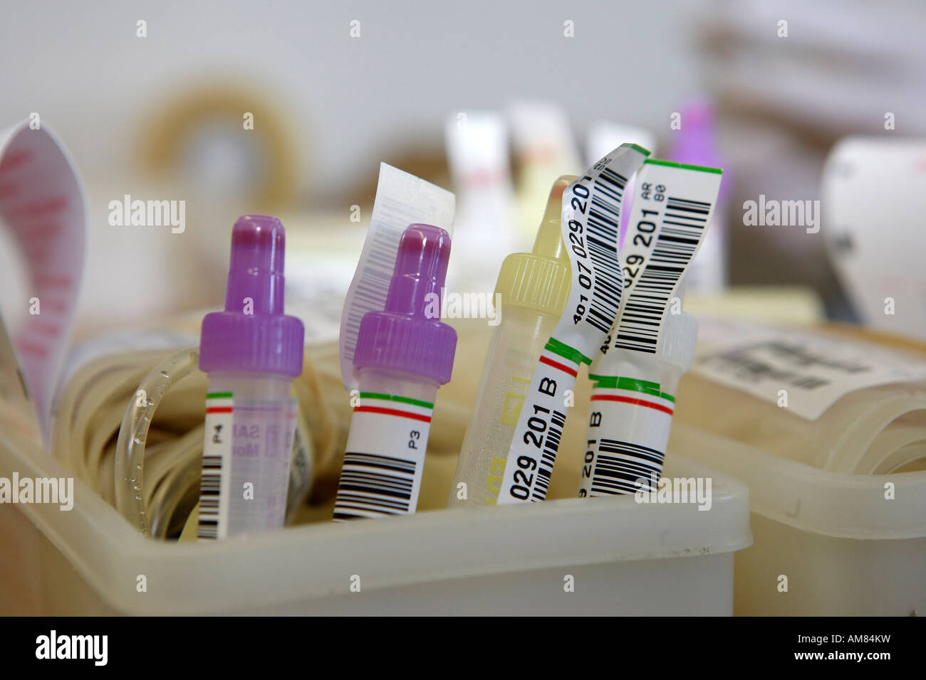 DRK blood donation Stock Photo - Alamy