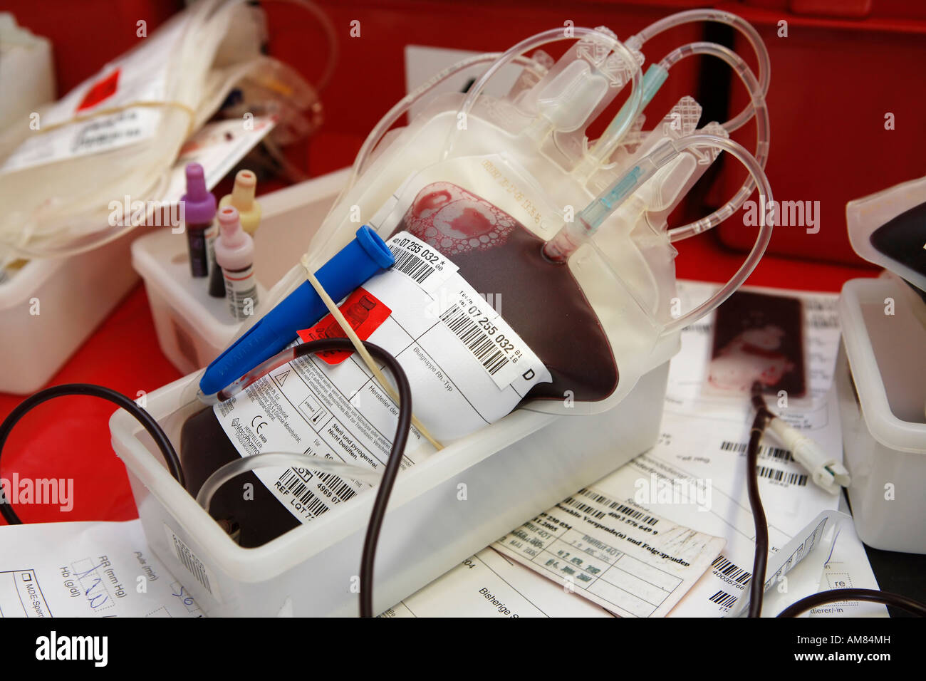 DRK blood donation Stock Photo - Alamy