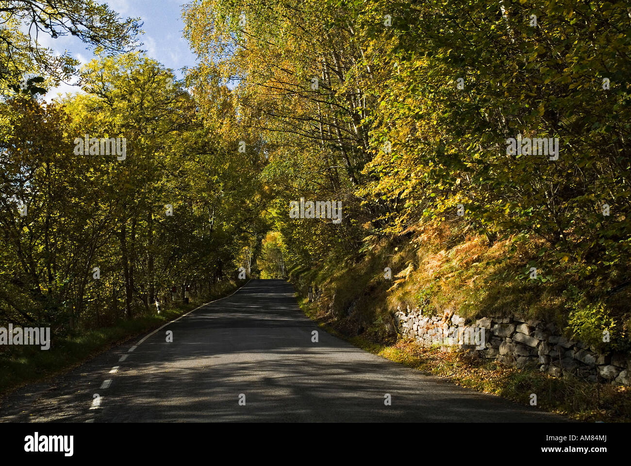 dh STRATHTUMMEL PERTHSHIRE Empty tree lined forest country road Stock ...